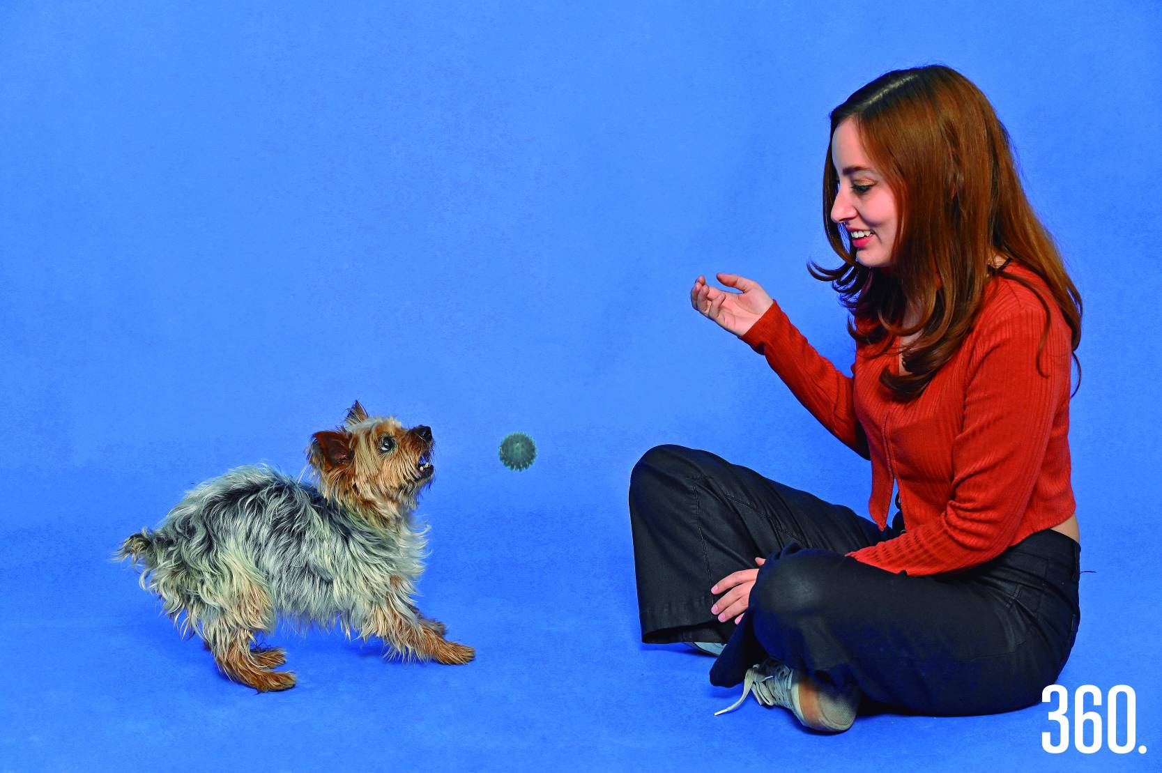 AMOR PERRUNO QUE SE VUELVE PROYECTO